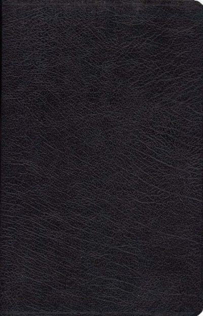 BIBLES - CSN International